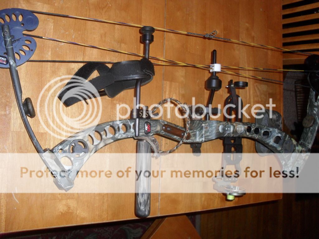 LH bow complete. AR31 by PSE. - 24hourcampfire