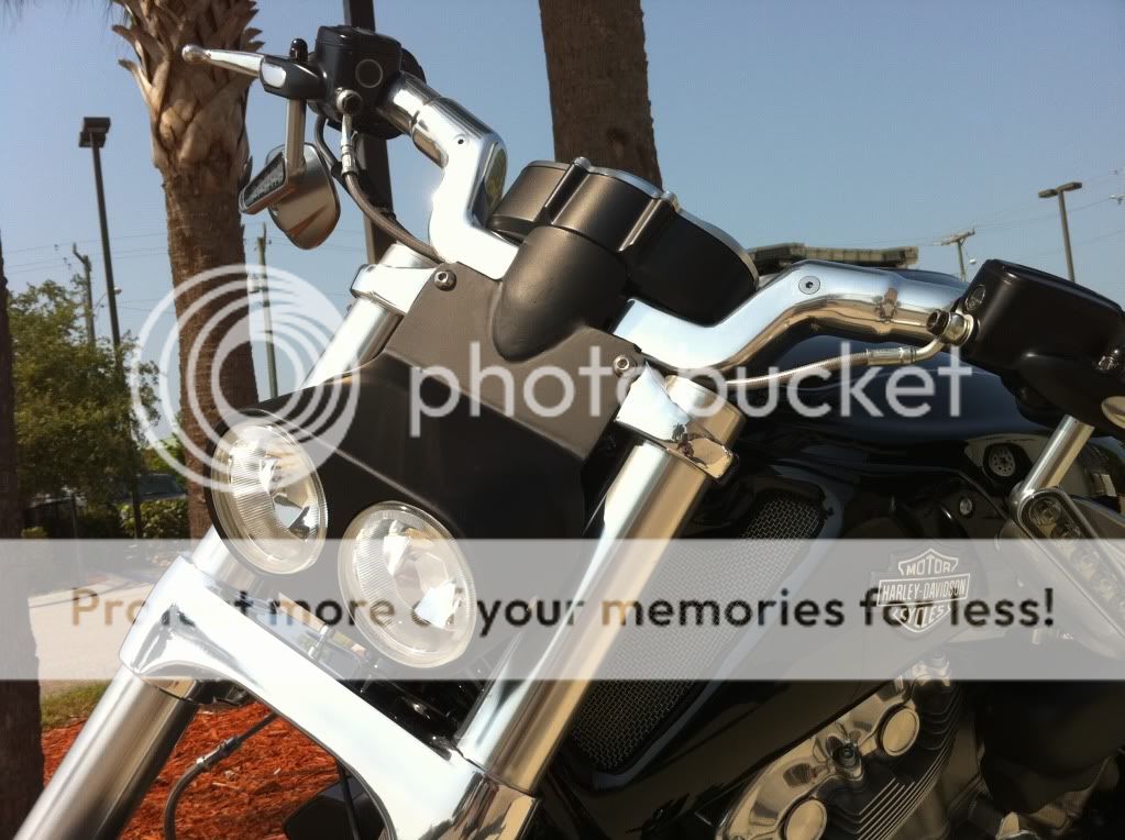 Double Headlight V-Rod Muscle | Harley Davidson V-Rod Forum